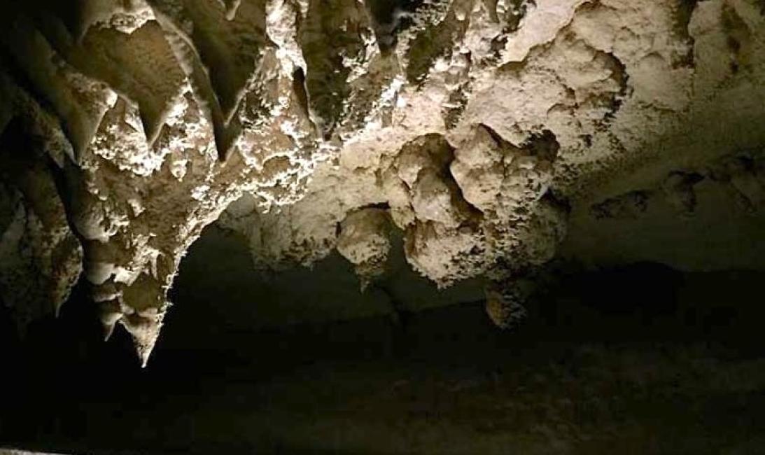 3D2N Mulu National Park Show Caves Tour with Airport Transfer ...