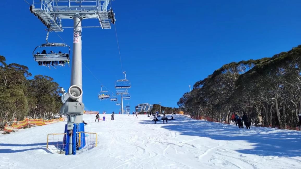 Mt Baw Baw or Mt Buller One Day Tour from Melbourne | Private transfer ...