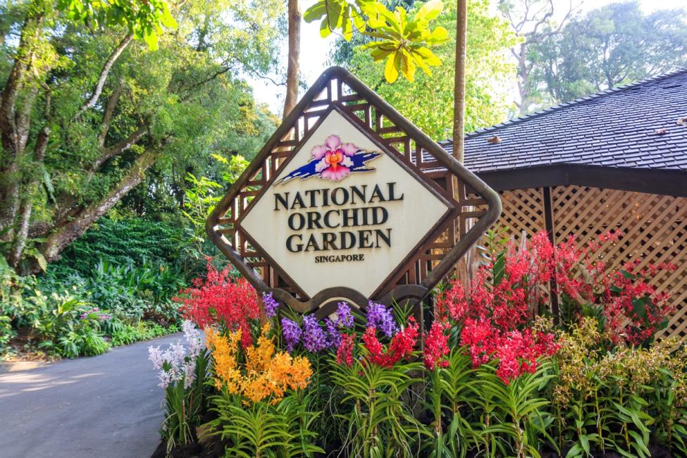 National Orchid Garden Admission Ticket | Singapore - KKday