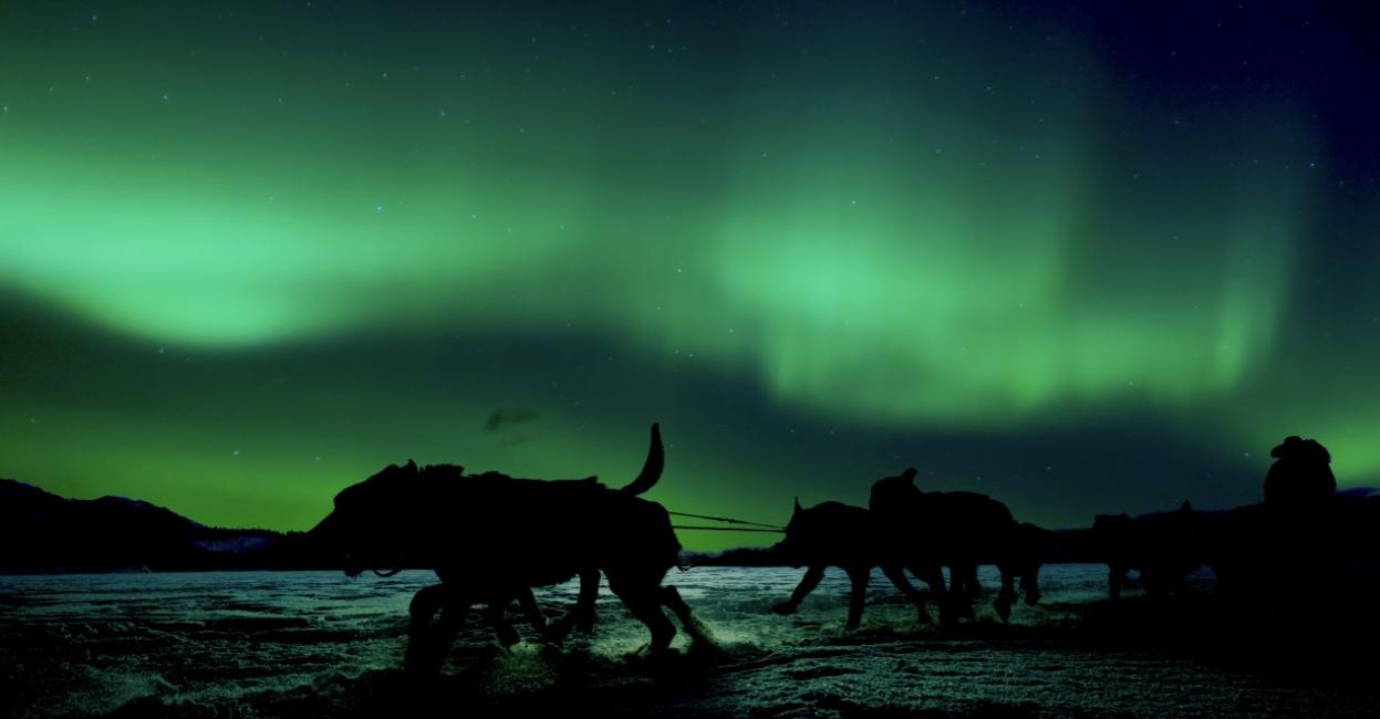 Abisko Northern Lights and Snowmobile Ride - KKday