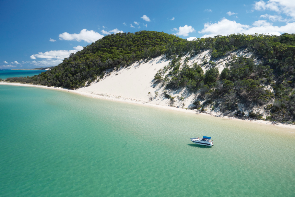 Tangalooma Marine Discovery Day Cruise with Bus Transfers from Brisbane ...
