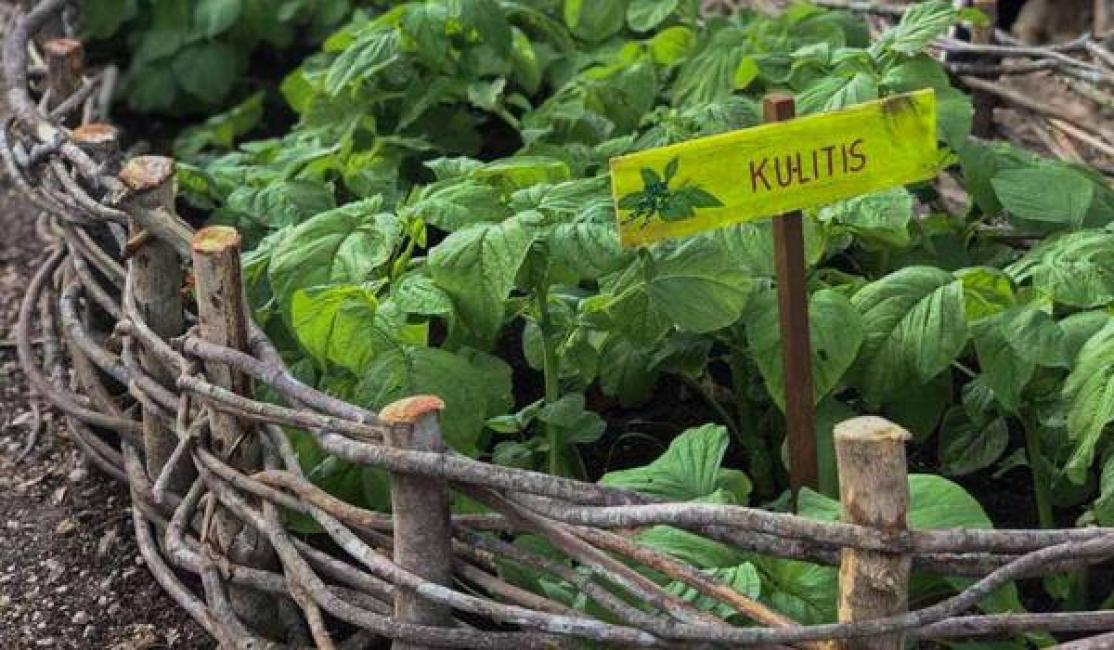 Bohol Panglao South Farm Tour | Philippines - KKday