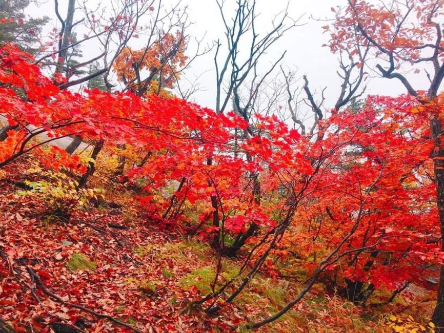 seoraksan-national-park-day-tour-gwongeumseong-fortress-cable-car