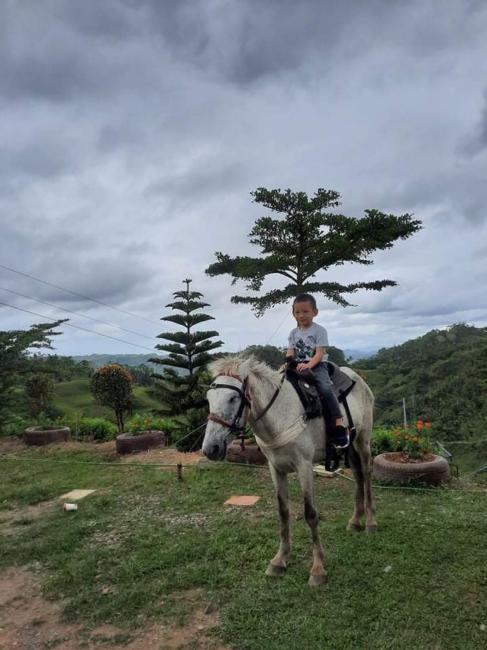 Evo Nature Camp Tour in Cebu | Philippines - KKday