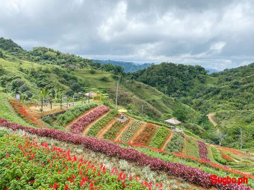Evo Nature Camp & Adventure Tour from Cebu | Philippines - KKday