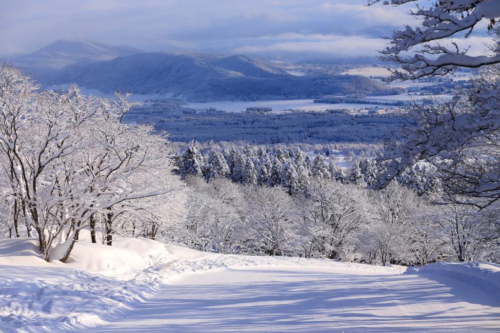 Niigata｜Akakura Onsen Ski Resort/Early Bird Lift 1-Day Ticket - KKday
