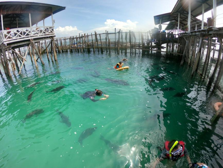 Shared Tour: Kudat Fish Farming Relaxing Day Tour | Sabah, Malaysia - KKday