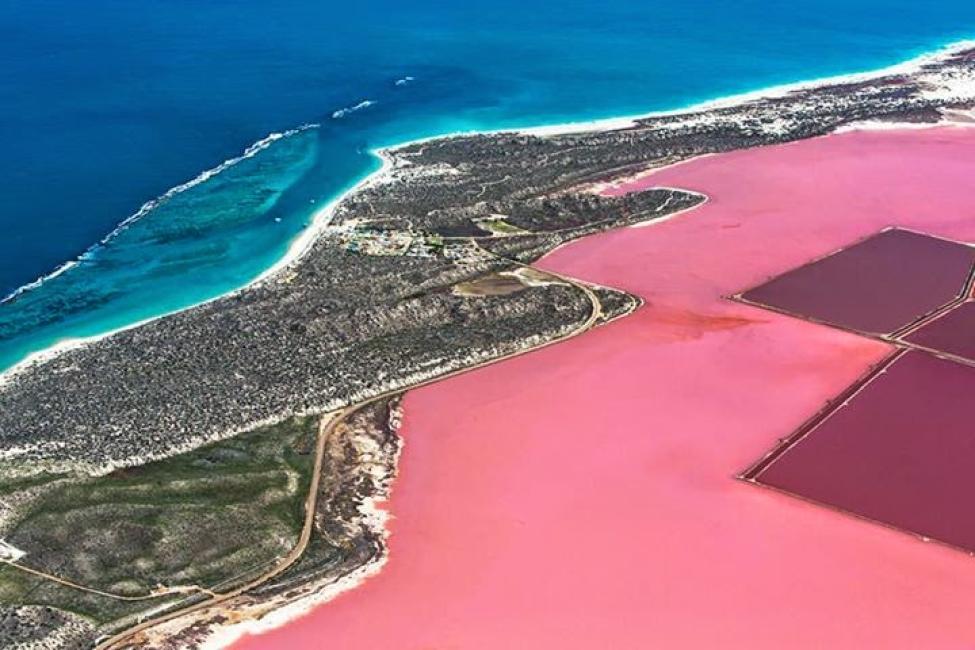 [Lonely Planet Western Australia] Perth Pinnacles + Pink Lake ...