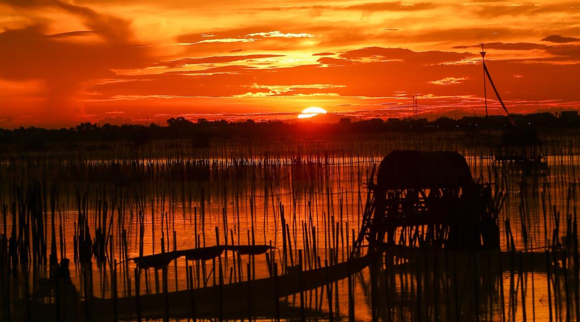 Half-Day Tour | Afternoon On Tam Giang Lagoon - KKday