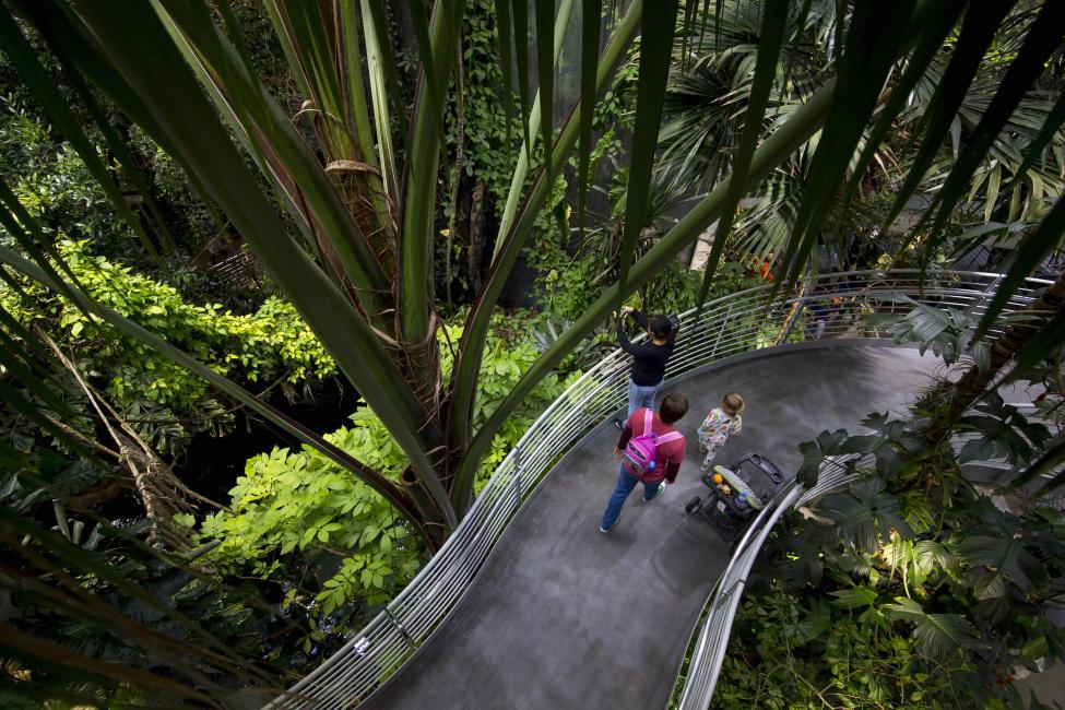 california-academy-of-sciences-kkday