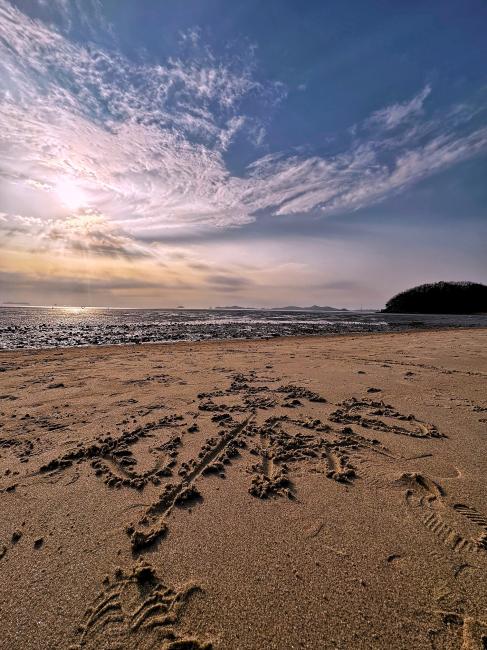 Incheon Chartered One-Day Tour｜Incheon Ximao Island & Ximao Island ...