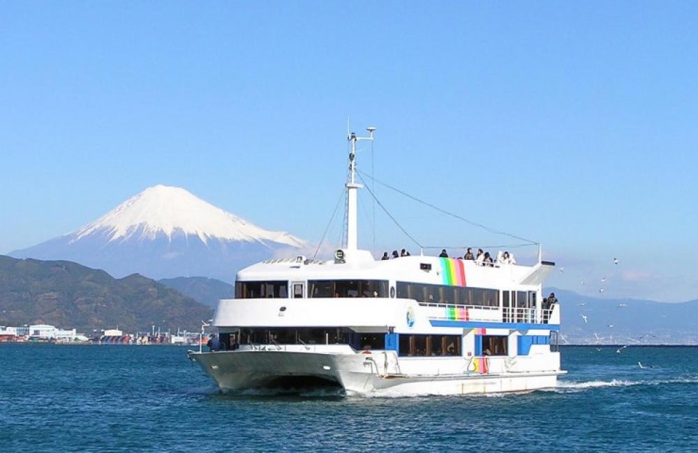 Japan Shizuoka Day Tour｜Shimizu Port Cruise｜Kuno Tosho Shrine｜Departure ...