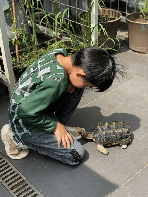 【A good place for parents and children】Reptile Workshop｜Small Reptile ...