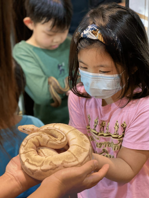【A good place for parents and children】Reptile Workshop｜Small Reptile ...