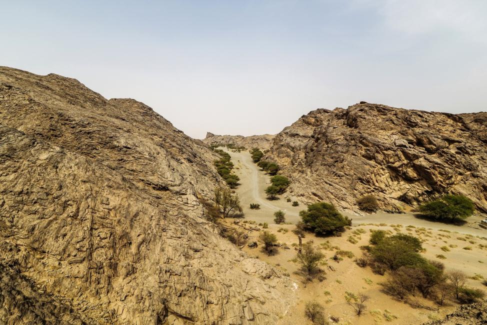 Discovery of Central Arabia from Riyadh - 2 Days / 1 Night - KKday