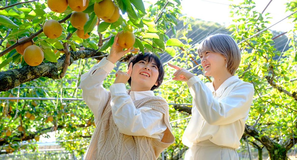 Tottori Classic Day Tour from Osaka: Tottori Sand Dunes, Art Museum ...