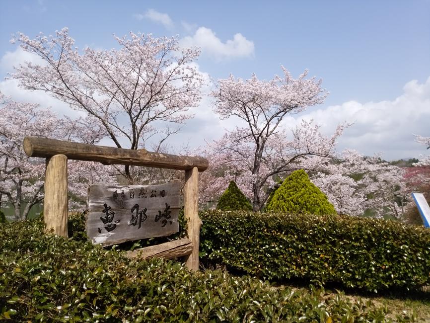 One-day Cherry Blossom Tour in Nagano, Japan｜Takato Castle Ruins & Ena ...