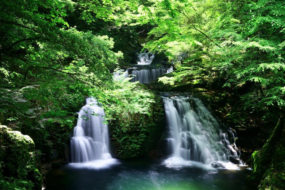 Akame 48 Waterfalls & Japan Salamander Center Admission | Mie - KKday
