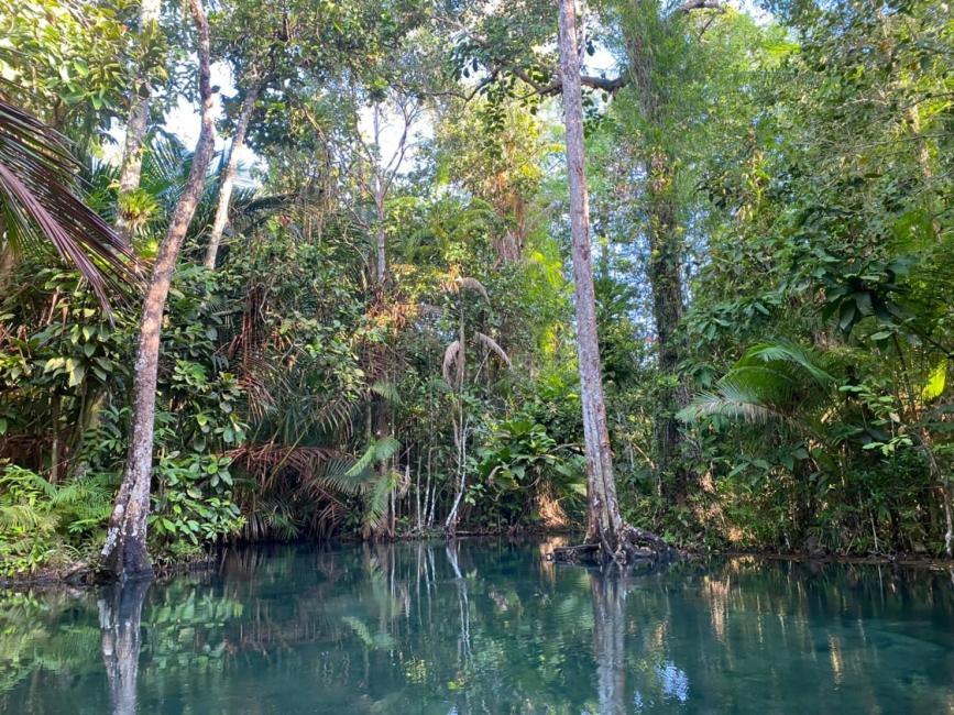 Krabi Sunrise Tour at Din Daeng Doi and Kayaking At Khlong Nam Sai ...