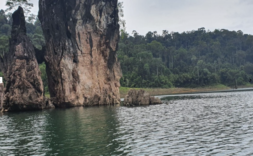 Khao Sok: Beautiful Khlong Sok River Canoe & Wildlife Spotting Tour ...