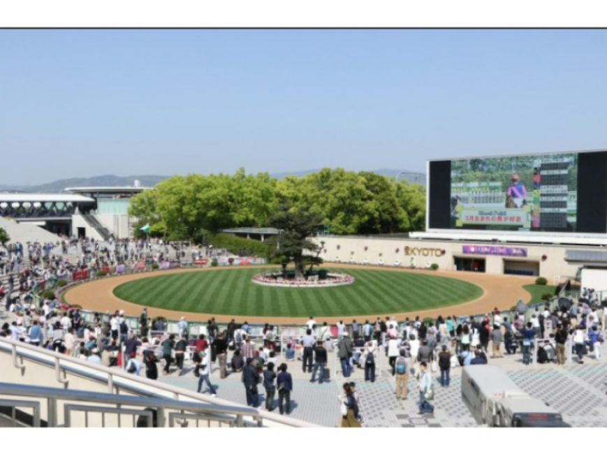 [Kyoto] Grand Reopening Kyoto Racecourse Tour with a Legendary Tipster ...
