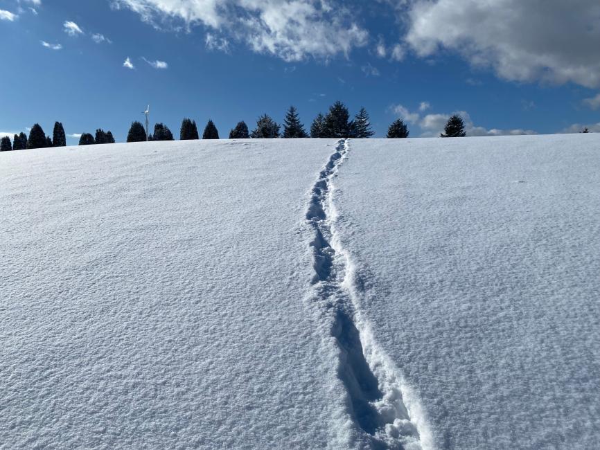 North Snow Land in Chitose Banana Boat Tour in the heavy snowfield! Let ...