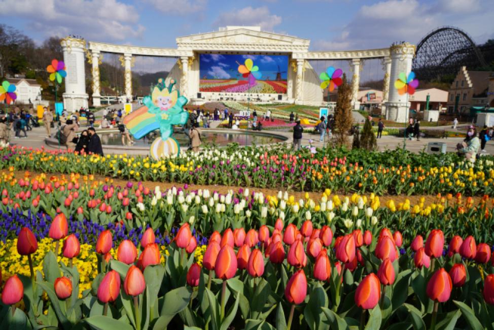 Depart from Seoul | Everland Daytour - KKday