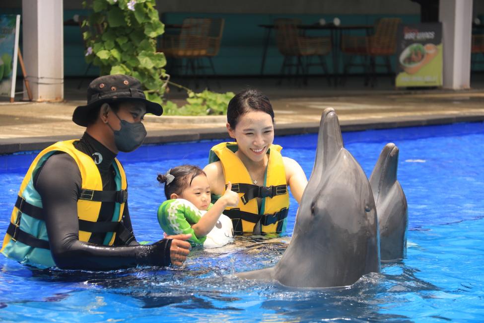 Bali Exotic Dolphin Marine Park | Indonesia - KKday