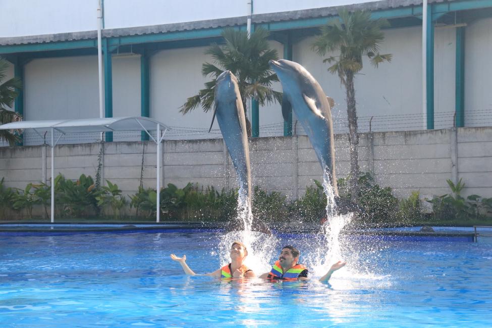 Bali Exotic Dolphin Marine Park | Indonesia - KKday