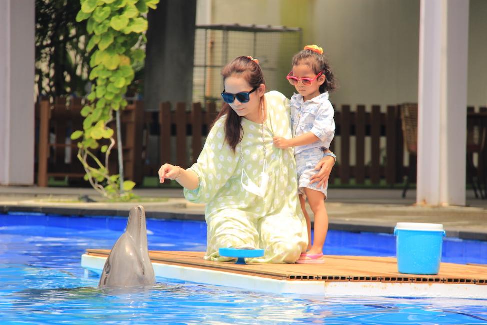 Bali Exotic Dolphin Marine Park | Indonesia - KKday