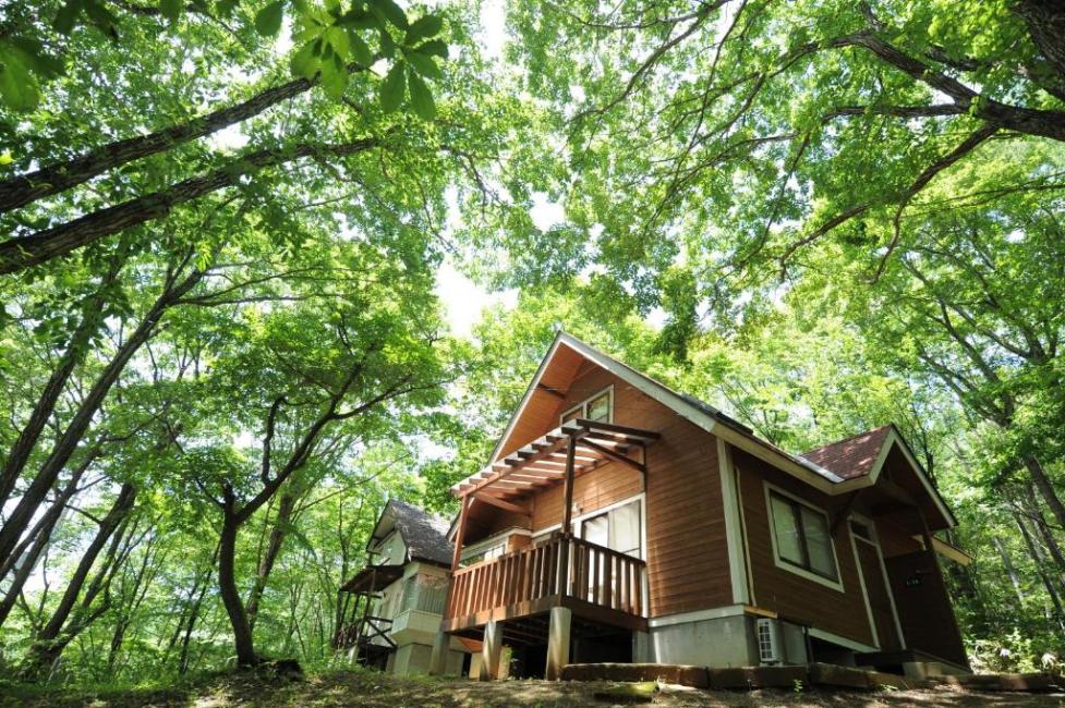 【Japan】Tokyo cherry blossom viewing, forest cabin hot spring hotel ...