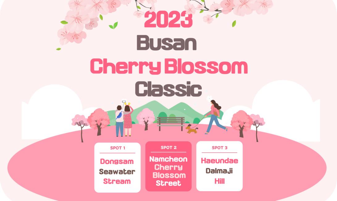 KKday Exclusive｜2023 Spring Season | Busan Cherry Blossom Classic Day ...