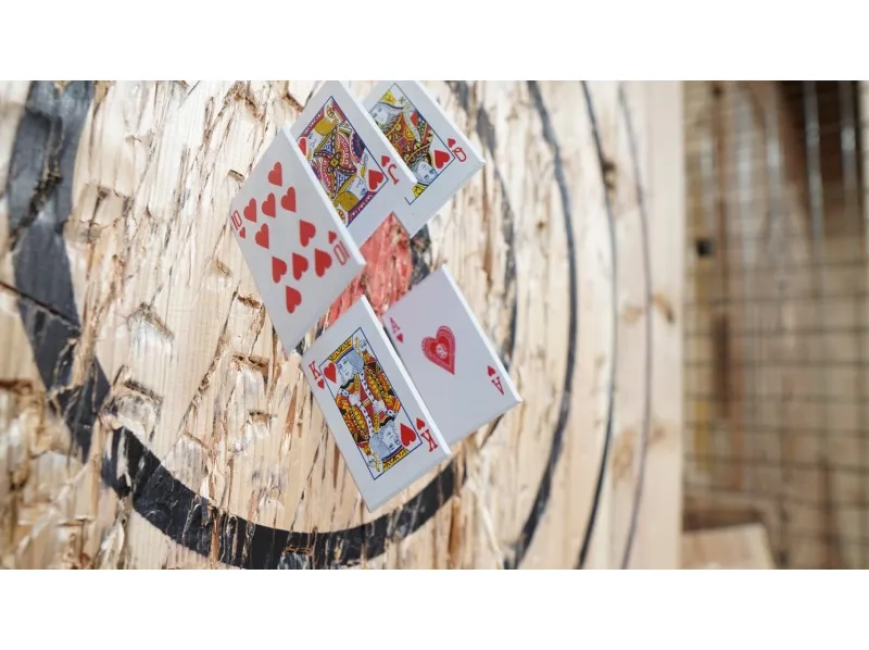 Aichi/Nagoya | Popular in America! AX THROWING®︎｜Exhilaration MAX ...