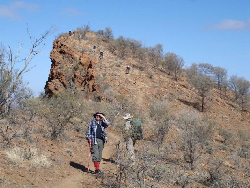 5-Day Trek the Larapinta Trail from Alice Springs | Northern Territory ...