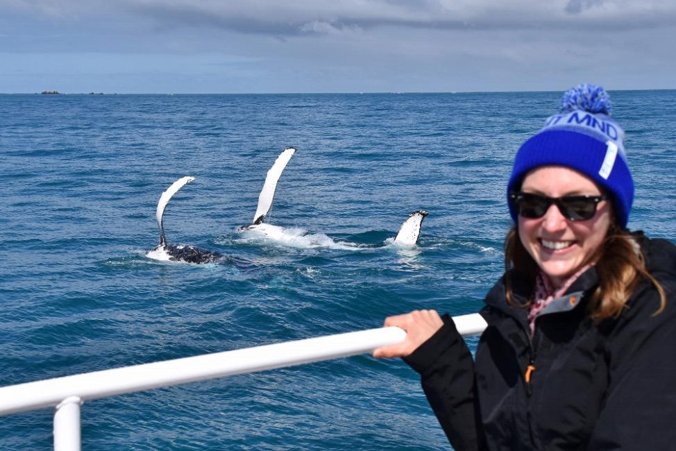 Whale Watching Tour from Augusta | Western Australia - KKday