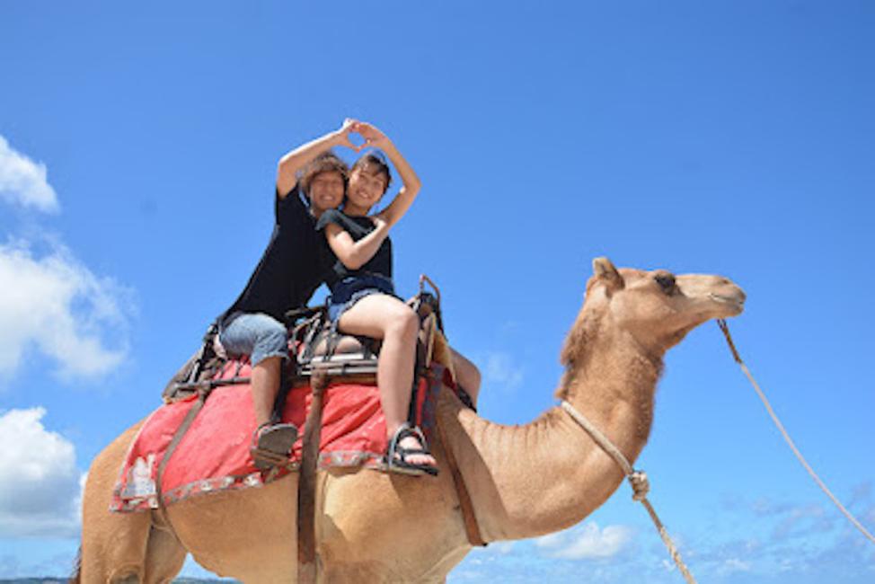 Bali Camel Ride Experience : Ride in to the sunset with optional Dinner ...
