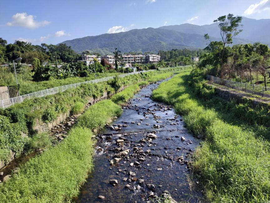 Tai Po Ting Kok Mud Beach Starfish Exploration, Honey Farm, Mangrove ...