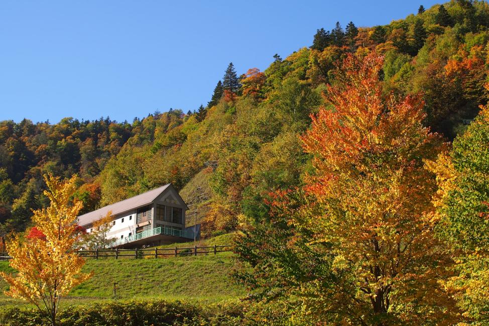 Exploring Hokkaido's Fall Colors: Jozankei, Hoheirakyo Gorge, Fruit ...