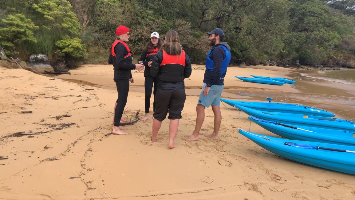 Guided Kayak Tour Of Manly Cove Beaches by Manly Sailing | Sydney - KKday