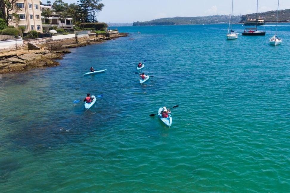 Guided Kayak Tour Of Manly Cove Beaches by Manly Sailing | Sydney - KKday