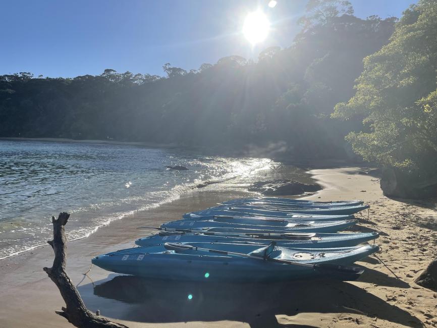 Guided Clearview Kayak Tour Of Manly Cove Beaches | Sydney - KKday