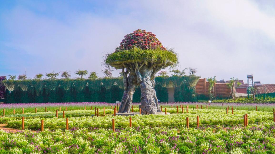 Fresh Garden Da Lat Tickets - KKday