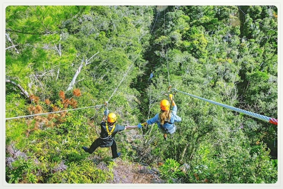 Yanbaru Zipline Adventure in Okinawa | Japan - KKday