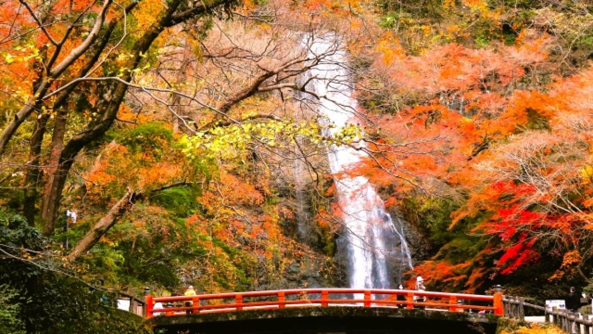Experience the Magic of Autumn: Minoh Falls, Autumn Leaves, and Iconic ...