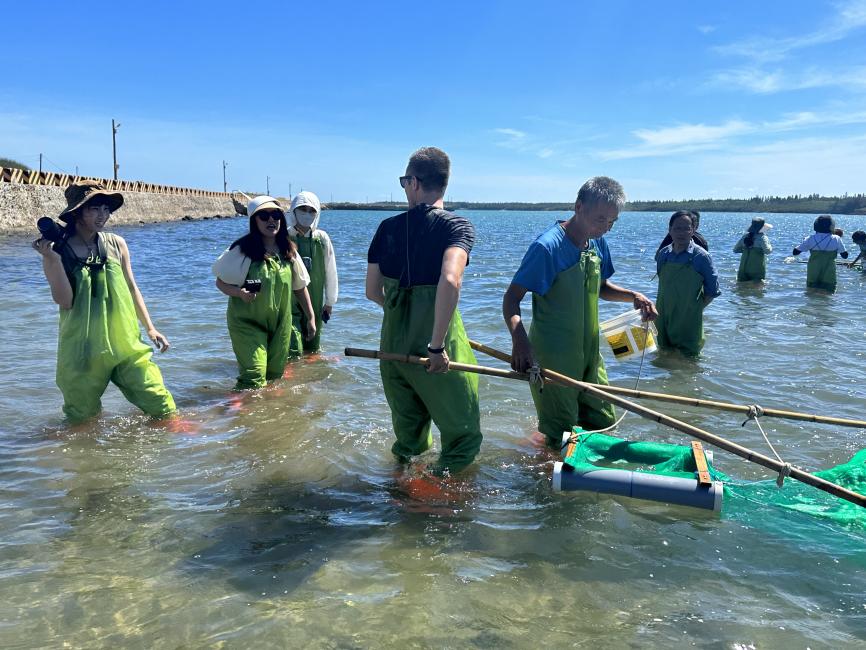 Local experience in Penghu｜Successful fish planting & straw sandal ...
