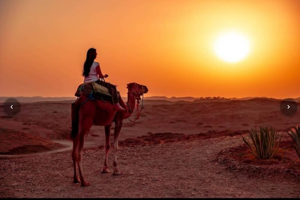 Agafay Desert Sunset Camel Ride Day Trip with Dinner in Marrakech ...