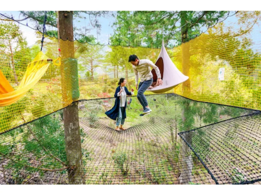 Spend time in a tree house! Reservations for “Aerial Walk”, a ...