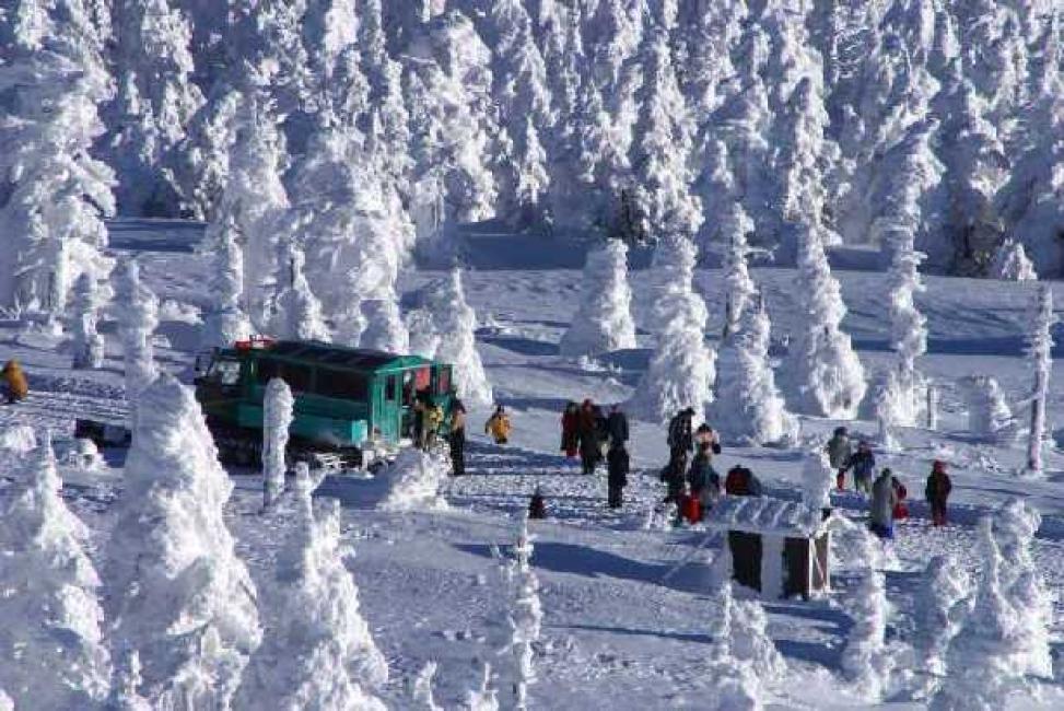 [Winter only] One-day tour of frost-covered trees | View of frost ...