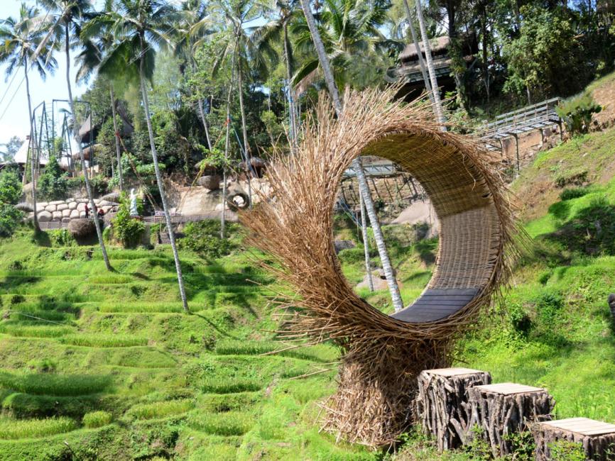 Exploring Bali’s Tegalalang Rice Terrace: A Scenic Journey and ...