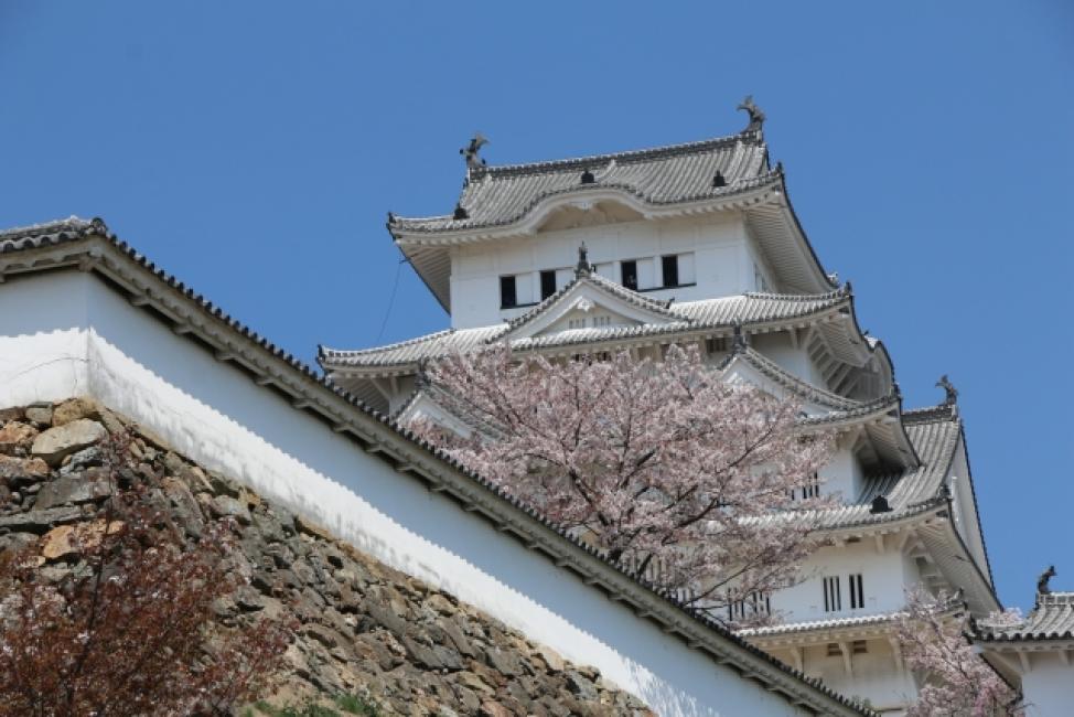 Himeji Castle & Sake Heritage: A Journey through Time - KKday